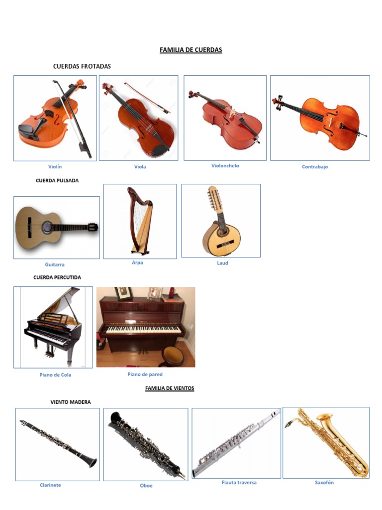 Familia De Instrumentos De Percusión Modulo De Percusion New Beat