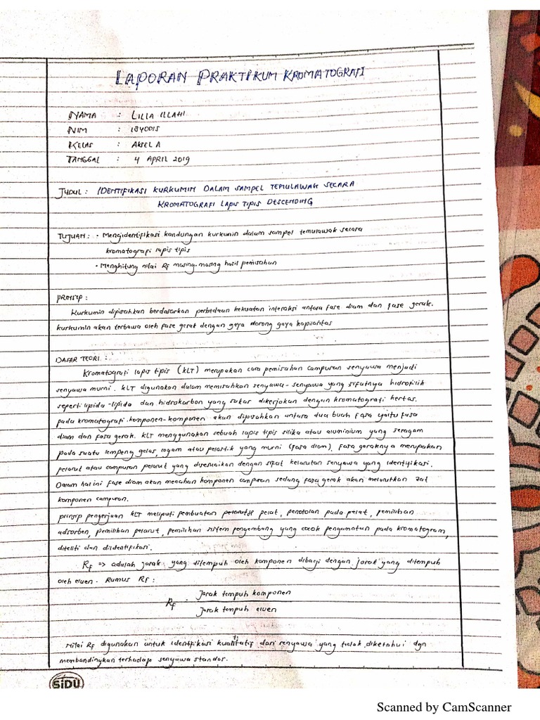 KLT Kurkumin Cila | PDF