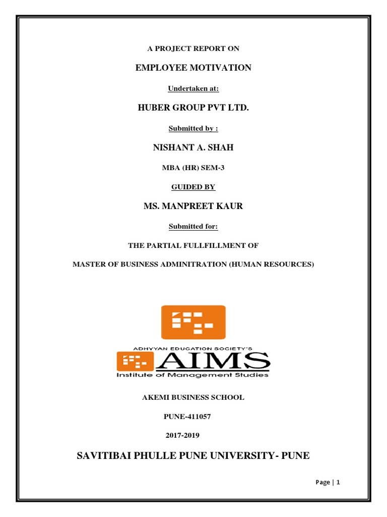 Employee Motivation Project Report | PDF | Motivation | Motivational