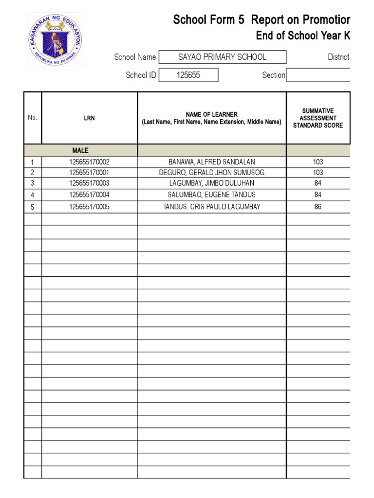 School Form 5 SF5K Report On Promotion and Level of Proficiency For ...