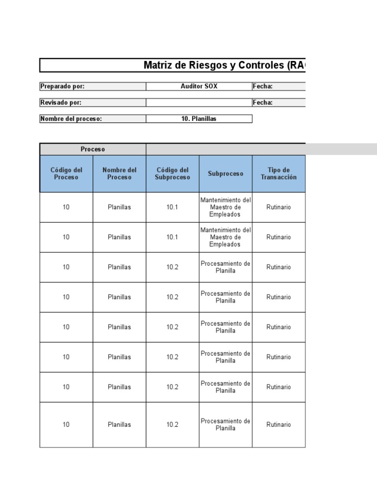 Racm Ejemplo | PDF | Contabilidad | Salario