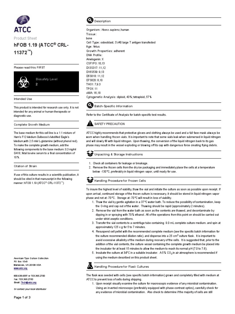 hFOB 1.19 (ATCC CRL 11372) : Product Sheet | PDF | Cell Culture | Atcc ...