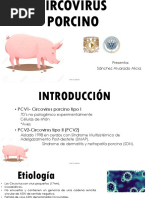 Técnicas de Enucleación en Pequeñas Especies. | PDF | Cirugía | Ojo