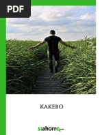 Plantilla Kakebo Imprimible Gratis | PDF