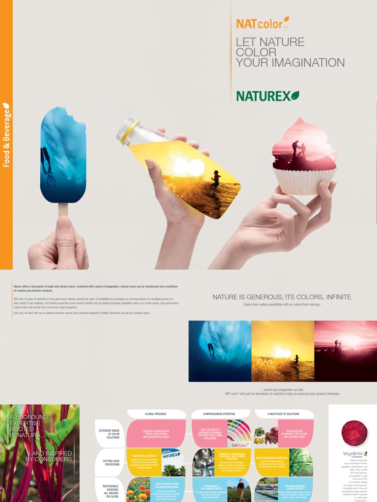 NAT Color by Naturex PDF | PDF | Vegetables | Nature