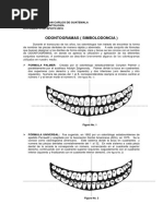 Odontogramas y Nomenclatura 2025 | PDF | Odontología | Diente