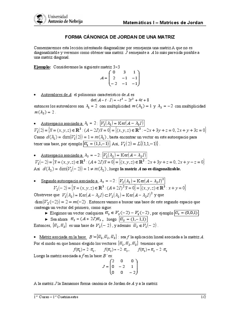 Introducción a Matrices de Jordan | PDF | Matriz (Matemáticas ...