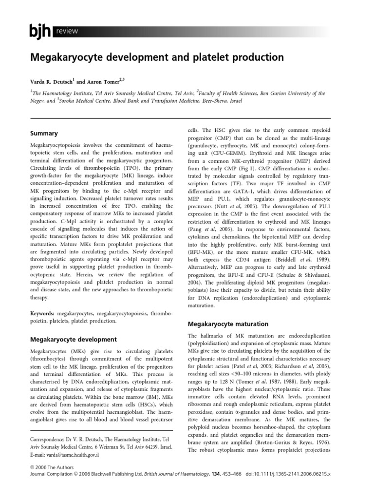 Megakaryocyte Development and Platelet Production: Review | PDF ...