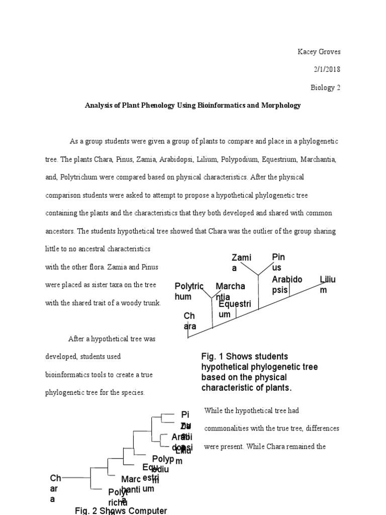 Analysis of Plant Phenology Using Bioinformatics and Morphology | PDF ...