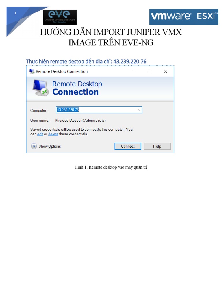 HƯỚNG DẪN IMPORT JUNIPER VMX IMAGE TRÊN EVE | PDF