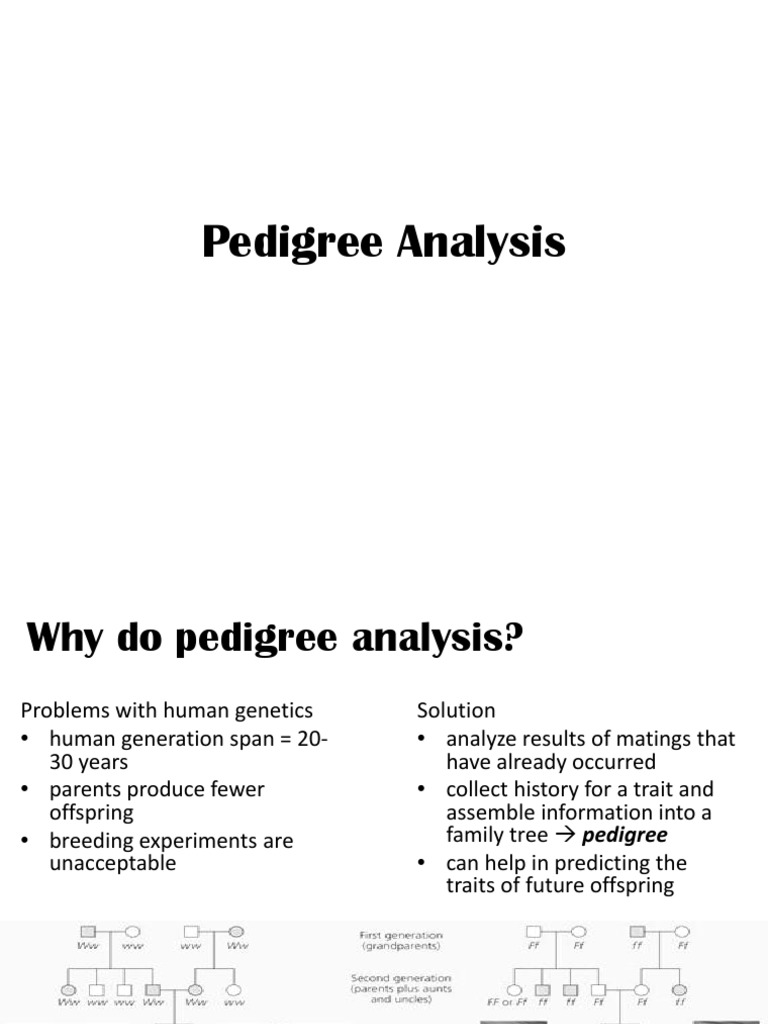 04 Pedigree Analysis Download Free Pdf Dominance Genetics