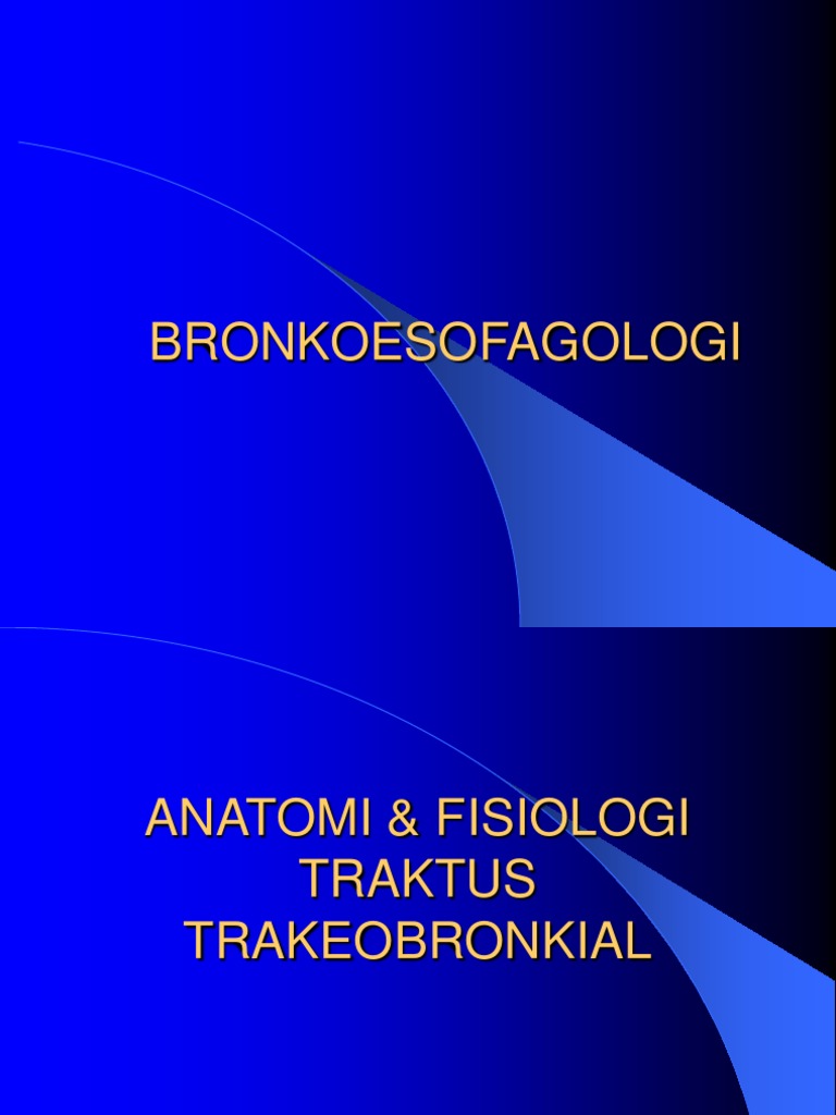 Anatomi Bronkus dan Fisiologinya | PDF