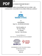 Project On Steel Company | PDF | Steel | Research Design