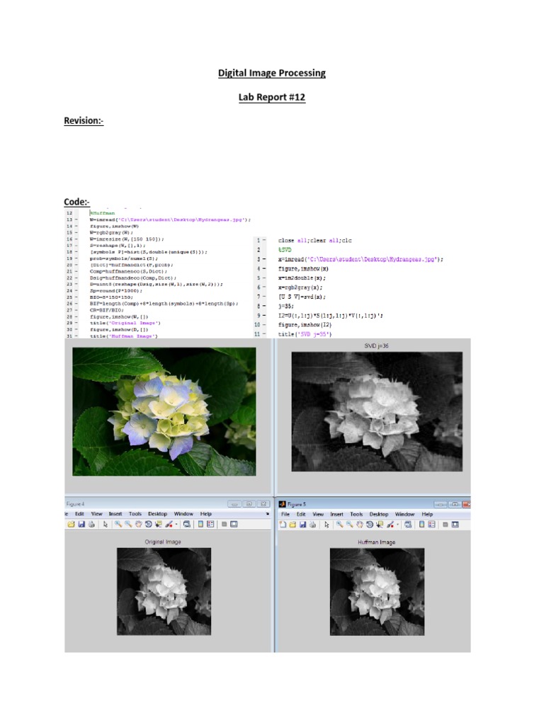Digital Image Processing Lab Report #12: Revision | PDF