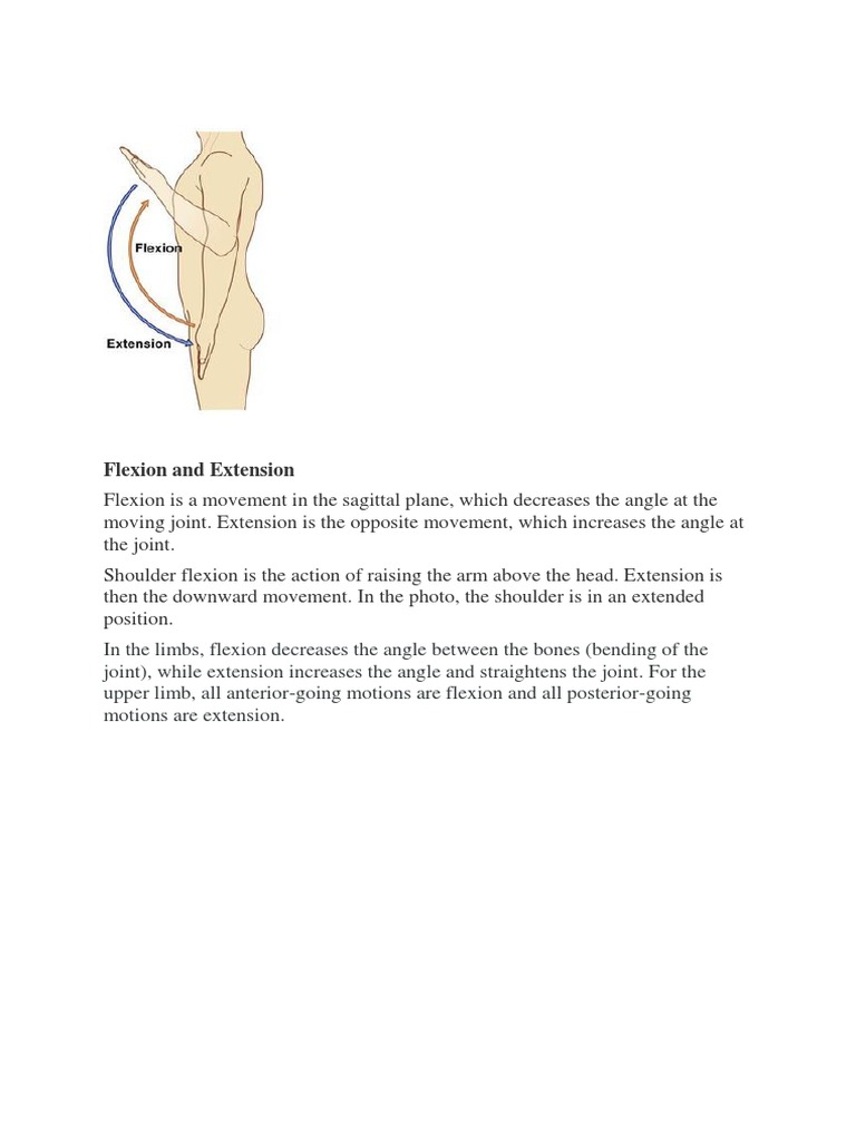 Grip Movement | PDF | Anatomical Terms Of Motion | Human Body