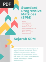 Raven Progressive Matrices RPM (CPM, SPM, APM) | PDF