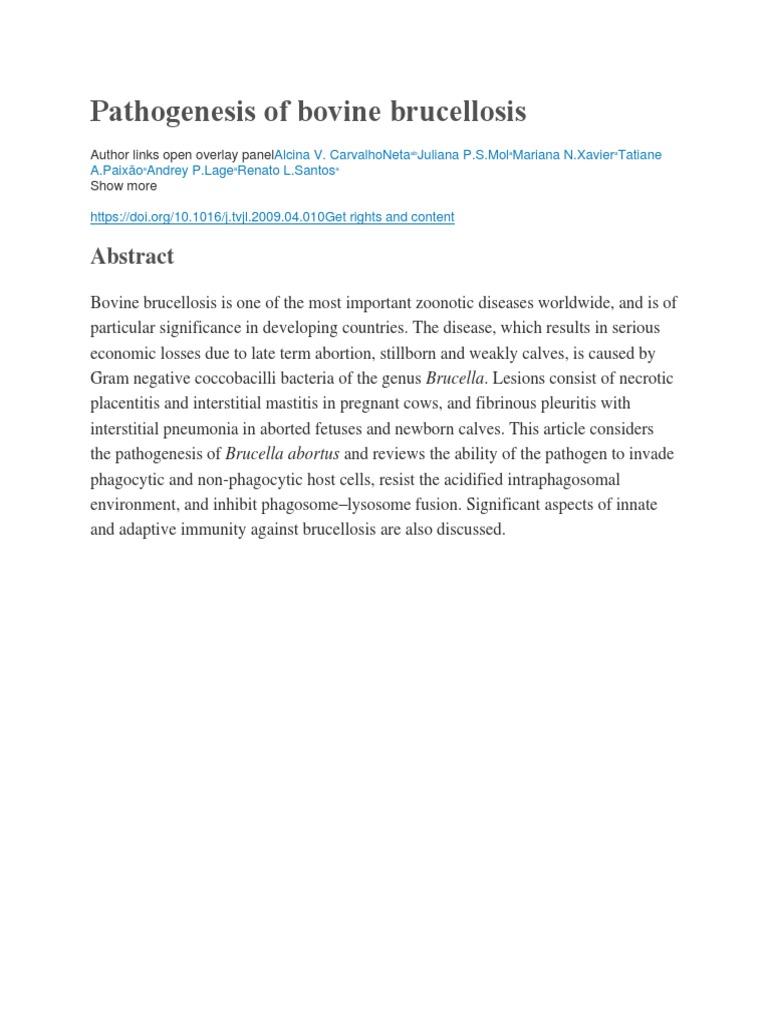 Pathogenesis of Bovine Brucellosis | PDF