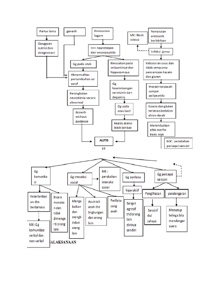 Pathway Autisme | PDF