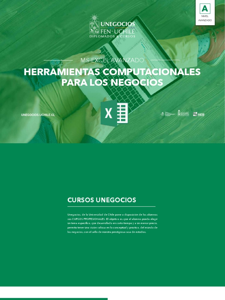 Curso Avanzado de Excel para Negocios | PDF | Visual Basic para Aplicaciones | Microsoft Excel