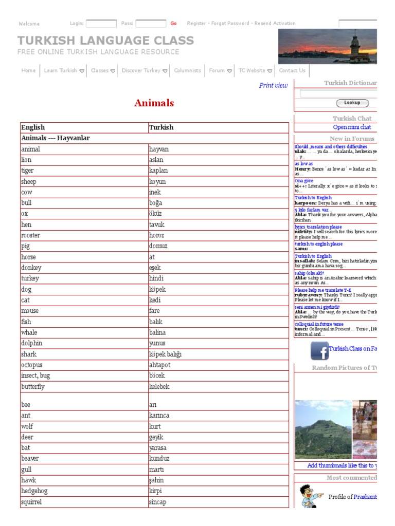 Turkish Animal Names Dictionary | PDF | Semiotics | Linguistics