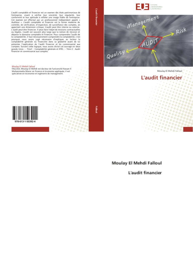 Audit Financier | PDF | Business | Nature