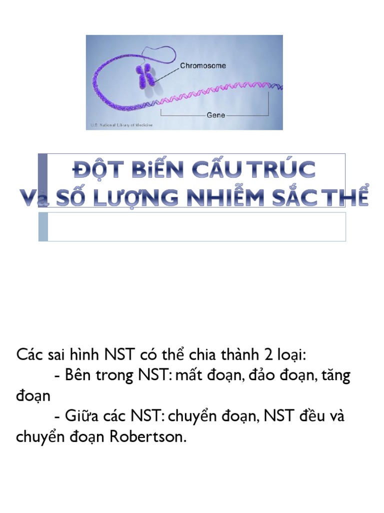 Đột biến cấu trúc-số lượng NST | PDF