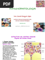 Perfil ENA y detección de autoanticuerpos | PDF | Anticuerpo | Bioquímica