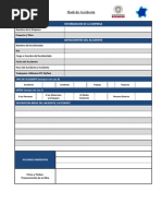 Formato FLASH Report | PDF