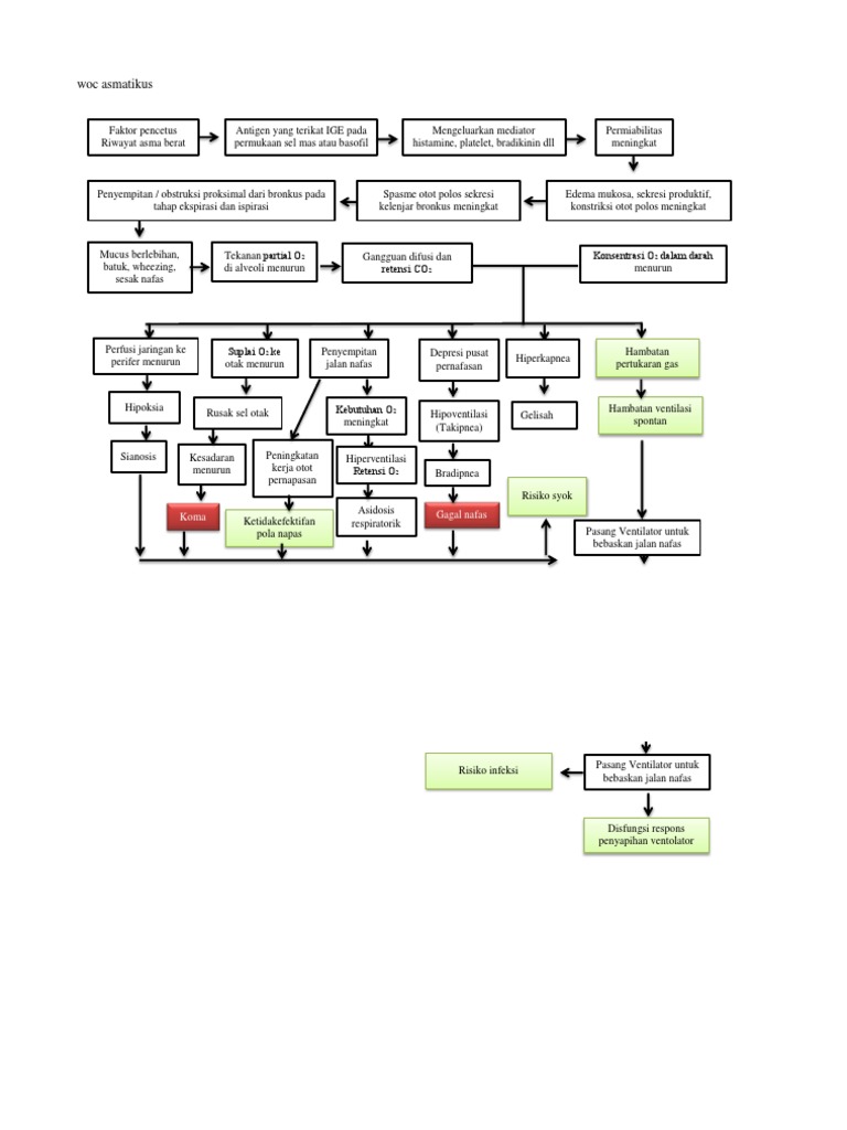 Pathway Status Asmatikus dan Gagal Napas | PDF