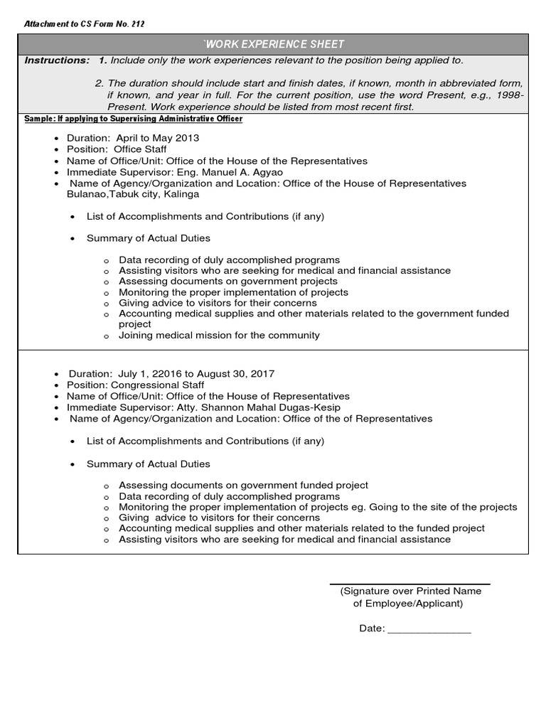 Work Experience Sheet | PDF | Government | Business