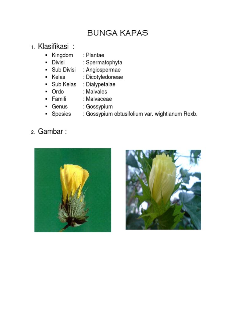 BIOLOGI Klasifikasi BUNGA | PDF