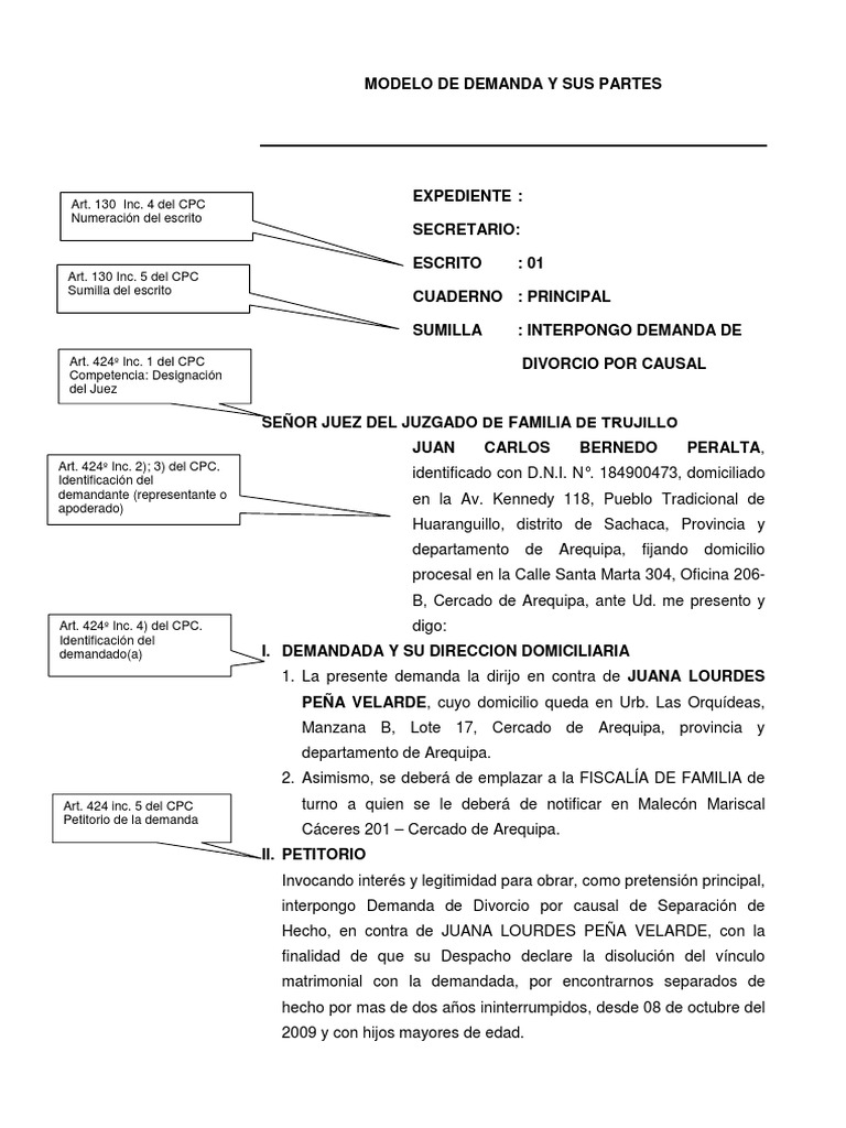 Partes de una demanda | Demanda judicial | Divorcio