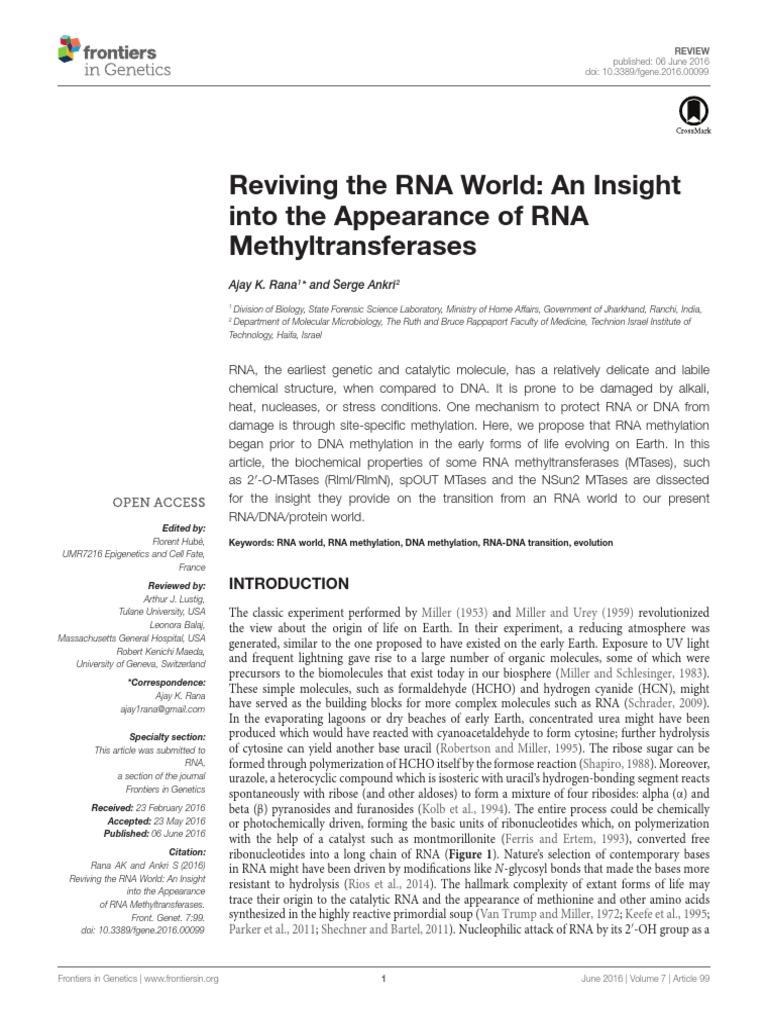 RNA World | PDF | Rna | Biosynthesis