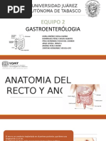 Anatomía y Fisiología Anorrectal | PDF | Recto | Sistema digestivo