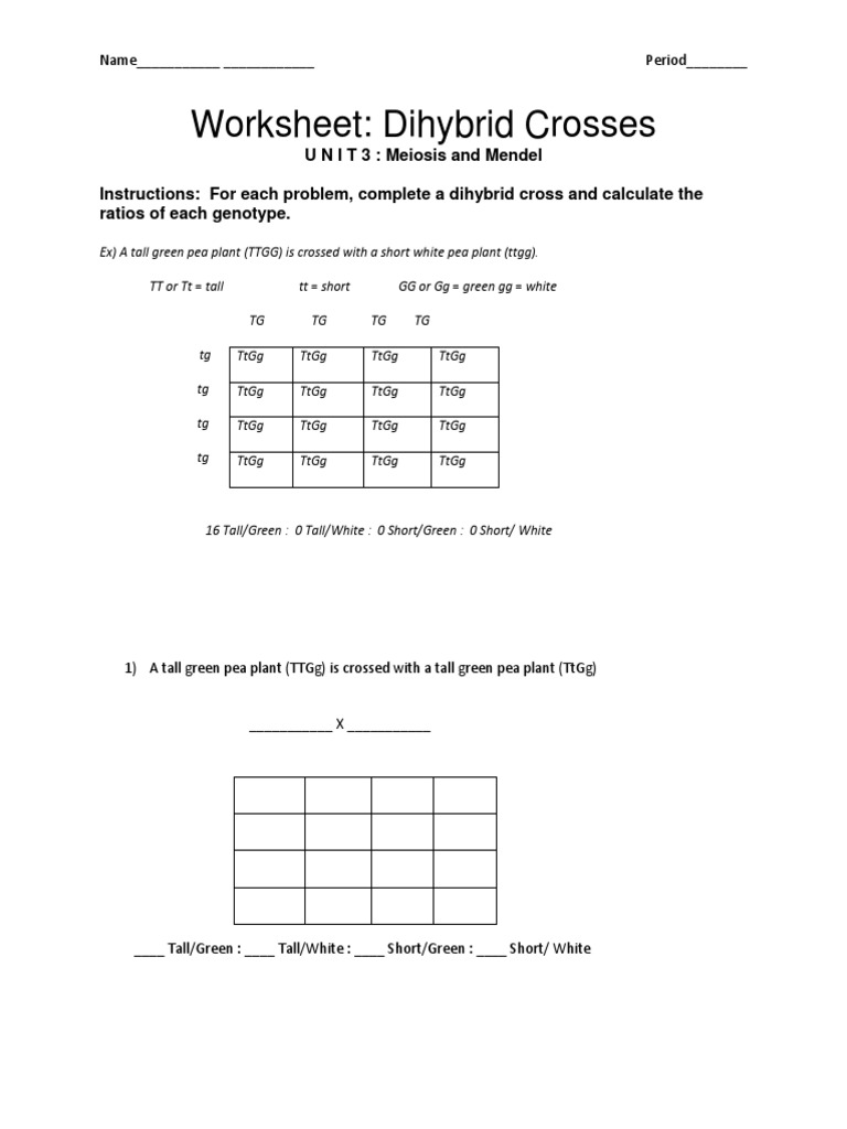 Worksheet: Dihybrid Crosses | PDF | Dominance (Genetics) | Zygosity