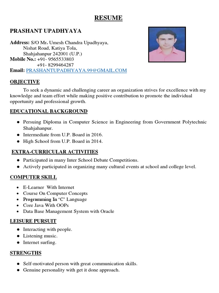 Prashant Resume | PDF