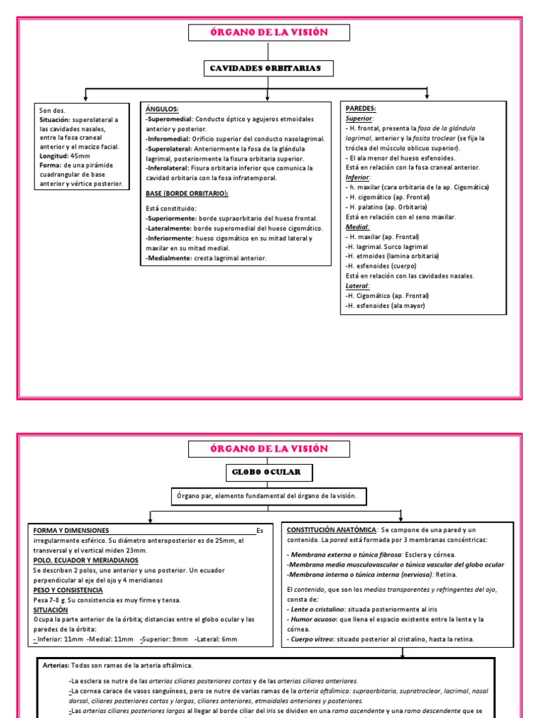MAPAS CONCEPTUALES DEL ÓRGANO DE LA VISIÓN - Daniela Pinaya | PDF | Ojo ...