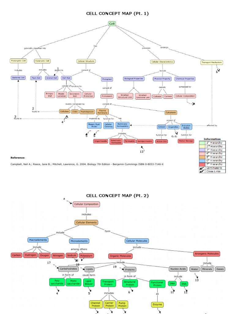 Cell Concept Map | PDF | Nature