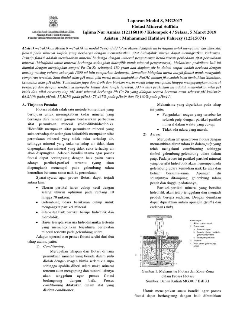 Modul 8 - Flotasi Mineral Sulfida | PDF