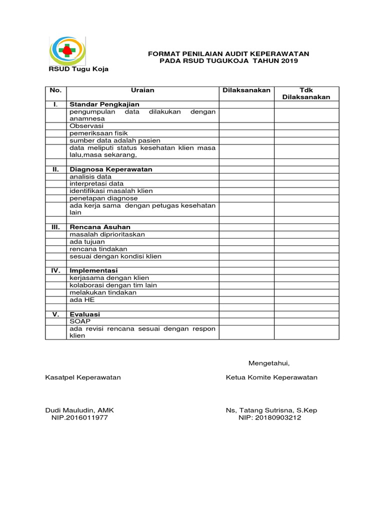 Audit Keperawatan | PDF