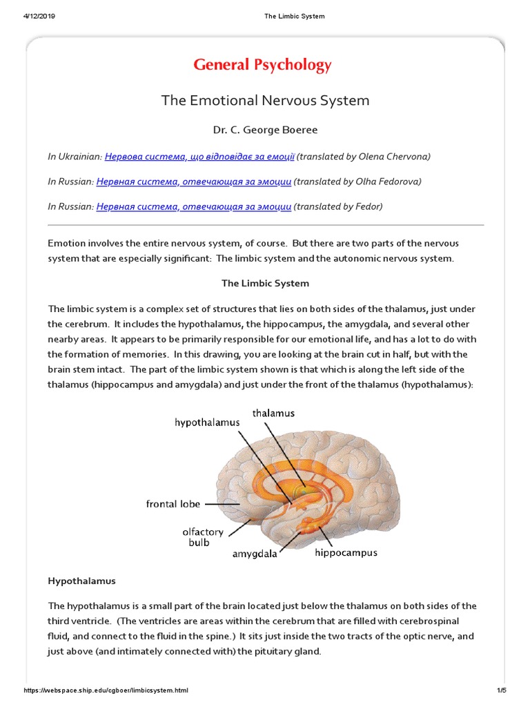 The Limbic System | PDF | Autonomic Nervous System | Limbic System