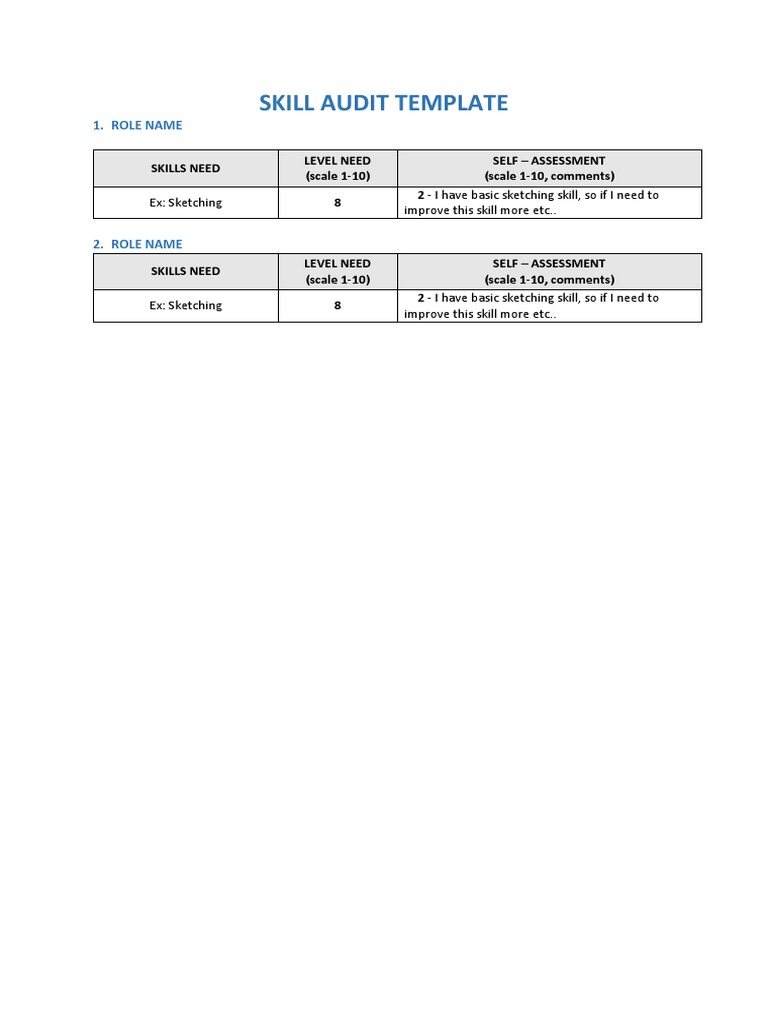 Skill Audit Template Guide | PDF