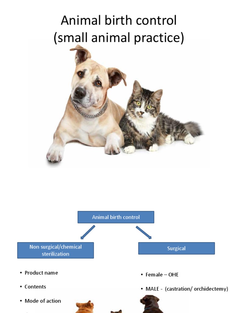 Animal Birth Control | PDF | Neutering | Birth Control