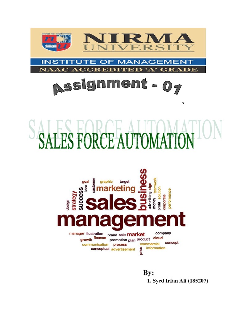 Assignment 01 | PDF | Automation | Sales