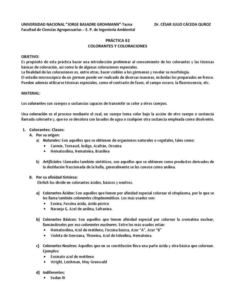 Colorantes Ácidos y Básicos en Microbiología | PDF | Tinción | Bacilo