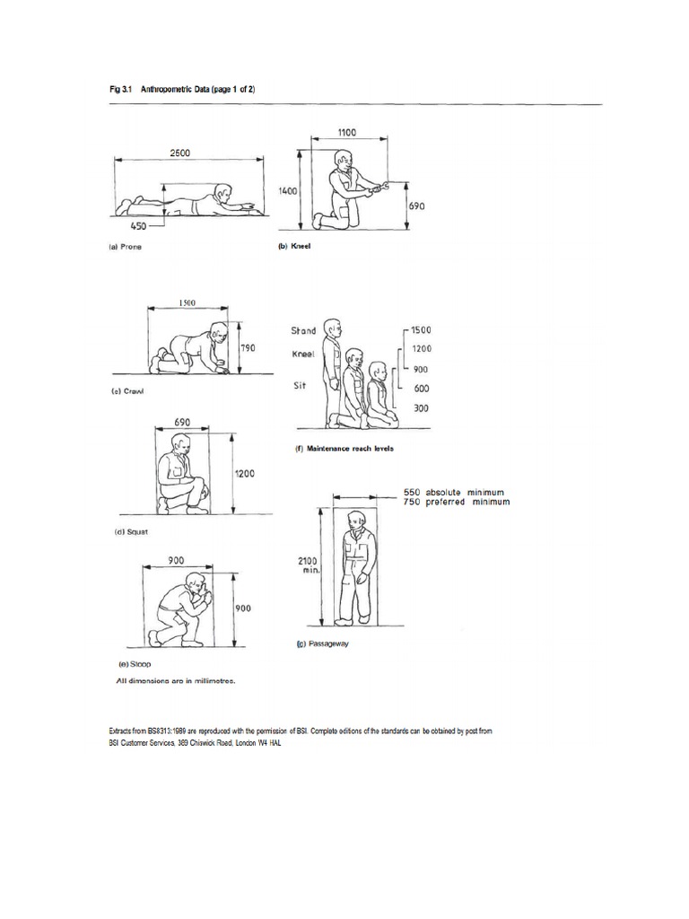 Service Requirements Dimension For Person BS 8313 | PDF