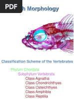 Common Names of Fish in The Phillippines | PDF | Philippines | Seafood