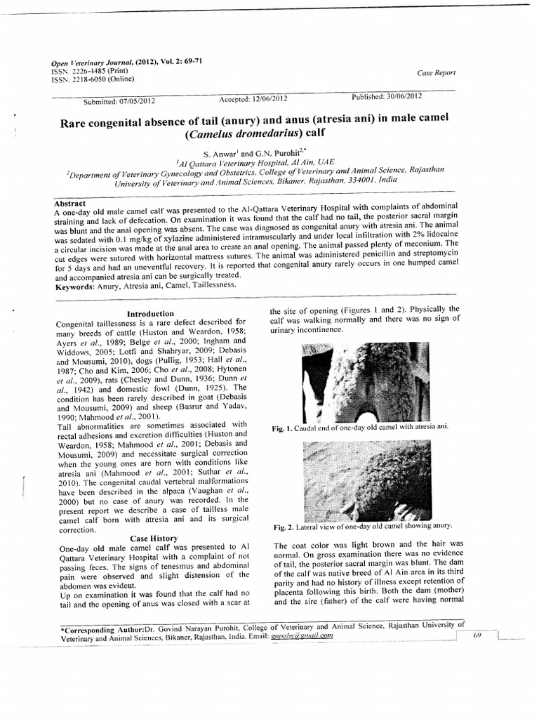 Anuria and Atresia Ani | PDF | Medicine | Nature