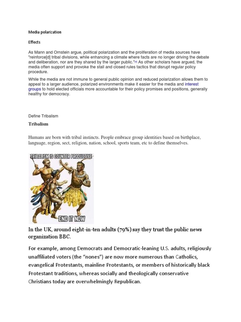 Media Polarization Effects: Tribalism | PDF