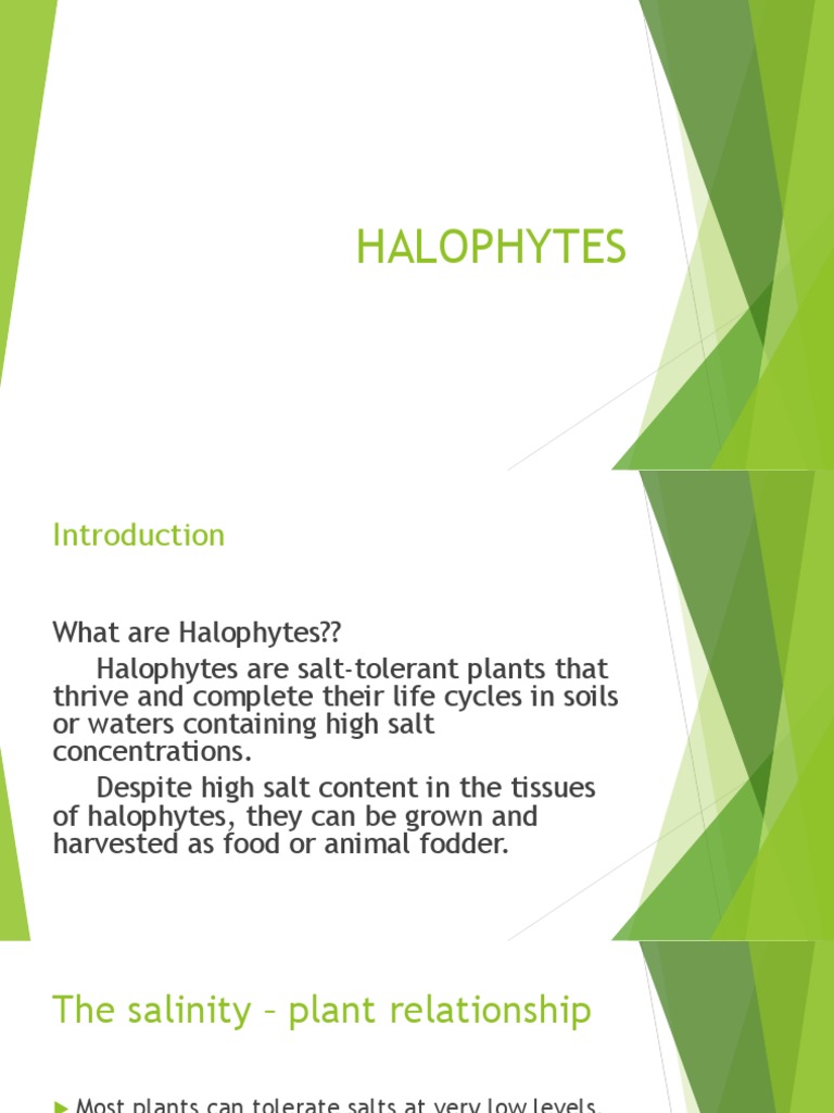 HALOPHYTES